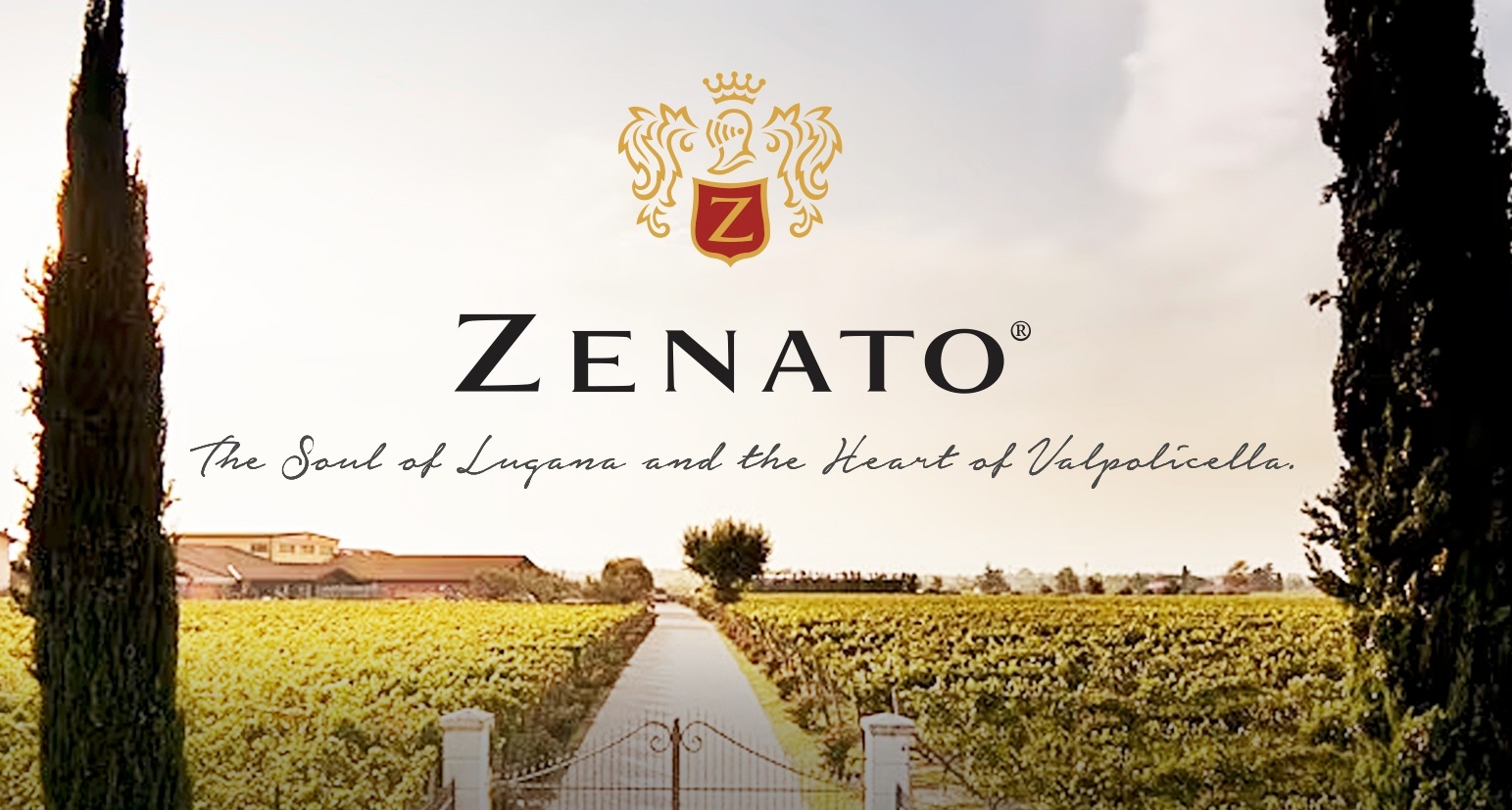 Zenato Winery Zenato What's Instore